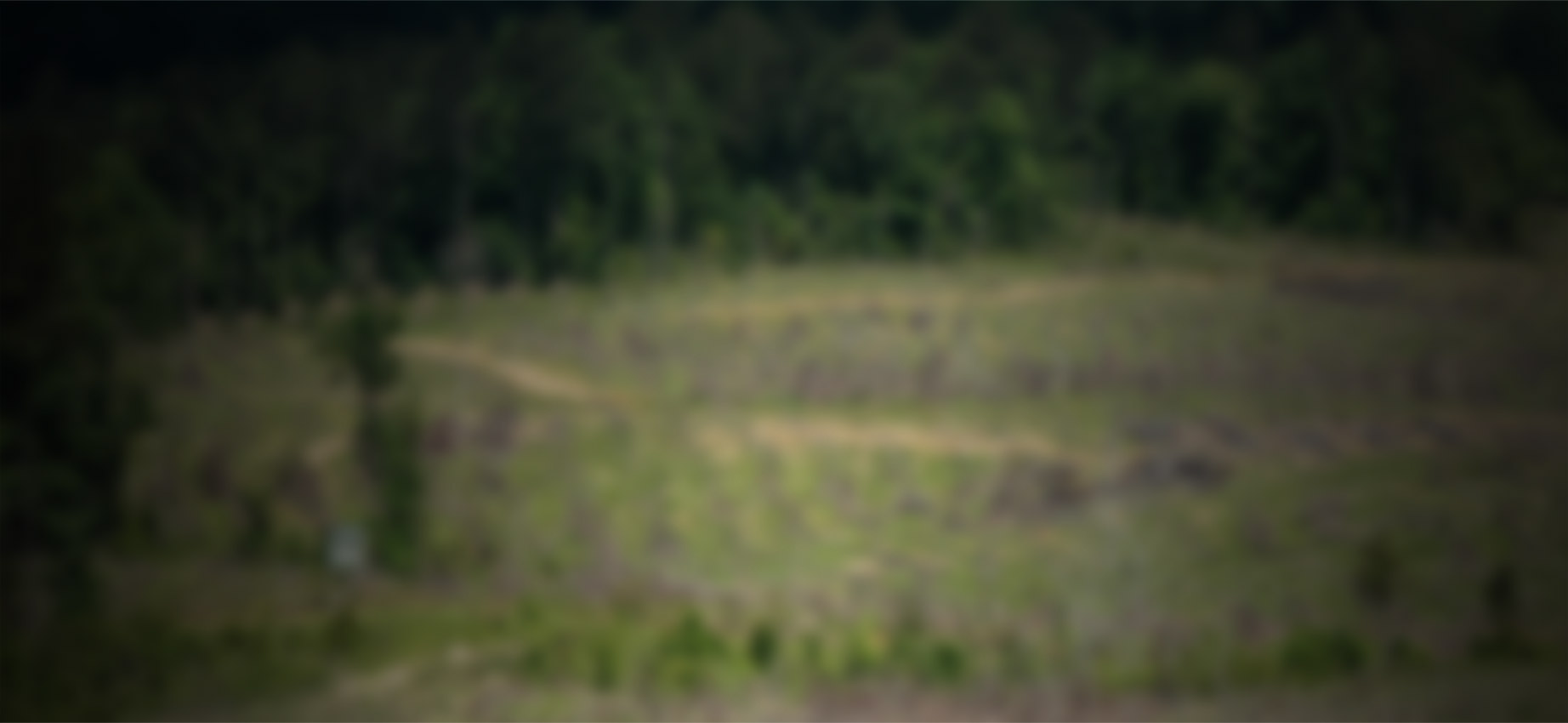 Land Sales - Resource Management Service