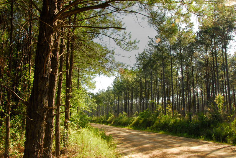 The Wildlife Conservation Initiative - Resource Management Service